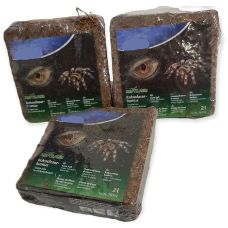 Sable et substrat pour terrarium