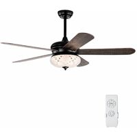 Ceiling fans
