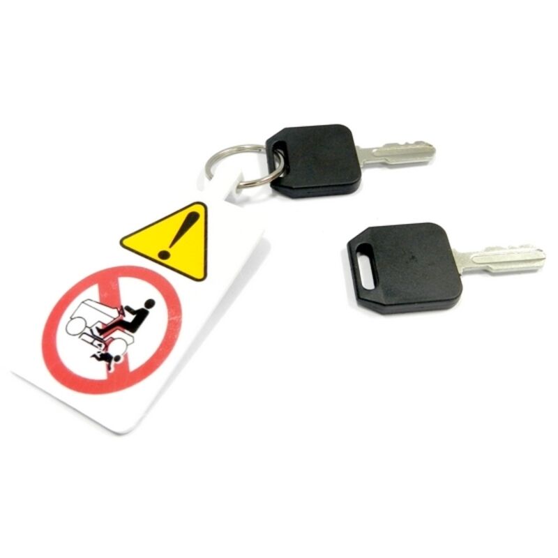 532411935 - Clé de contact pour tondeuse BESTGREEN ...