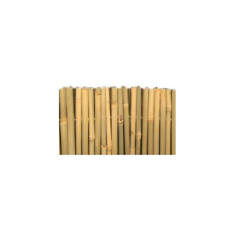 Fraschetti - Arella Master Bamboo Canniccio Arelle Canne Recinzione ...