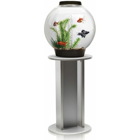 Fish tanks and stands