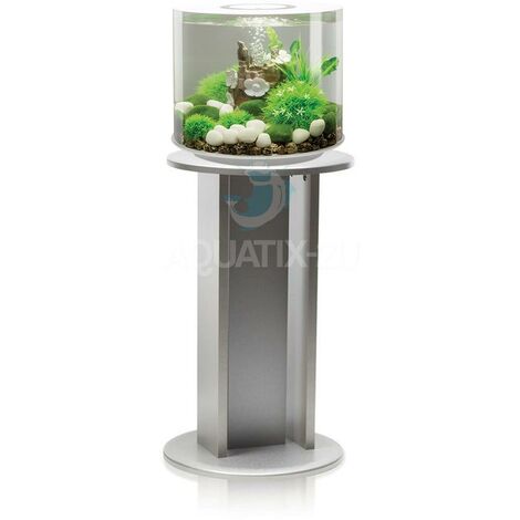 Fish tanks and stands