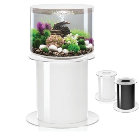 Fish tanks and stands