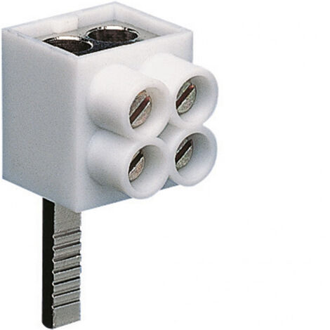 Bornier et borne de raccordement électrique