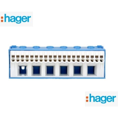 Bornier et borne de raccordement électrique