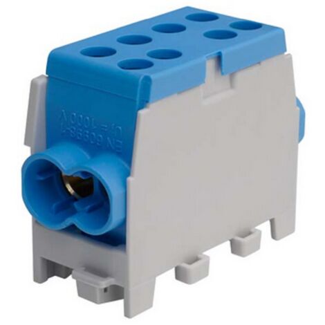 Bornier et borne de raccordement électrique