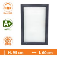 Fenêtre PVC