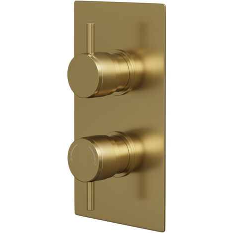 Thermostatic shower valves