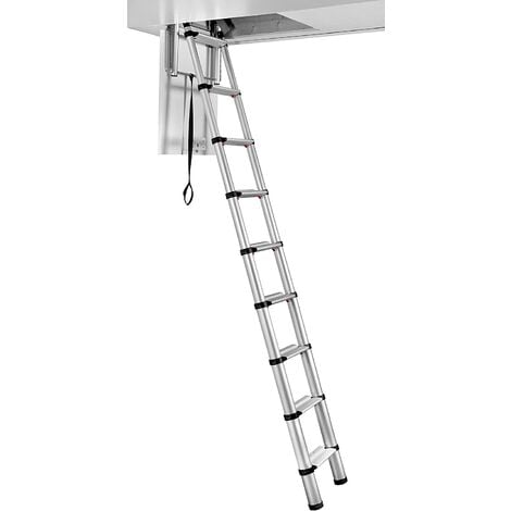 Telescopic ladders