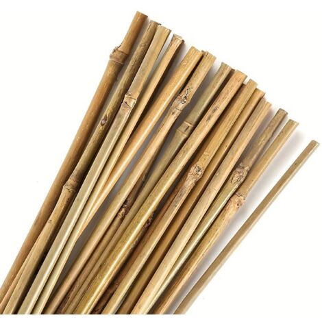 Tutores para plantas