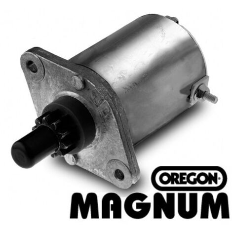 Accessoire pour moteur thermique