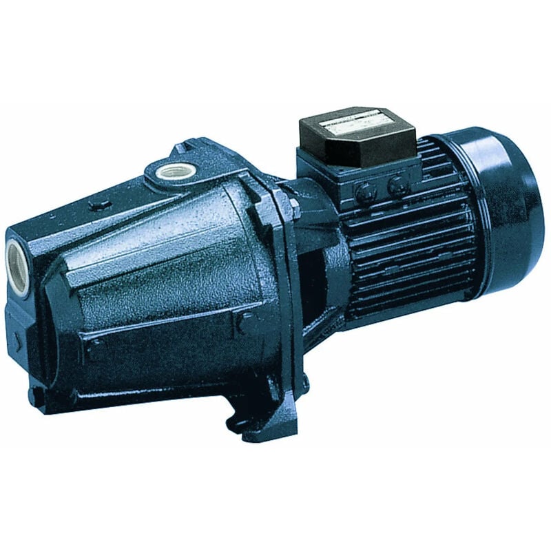 Ebara - Elettropompa Centrifuga Bigirante 1 Hp - Modello: Cda 1.00 M - Articolo: 1210100000 ...