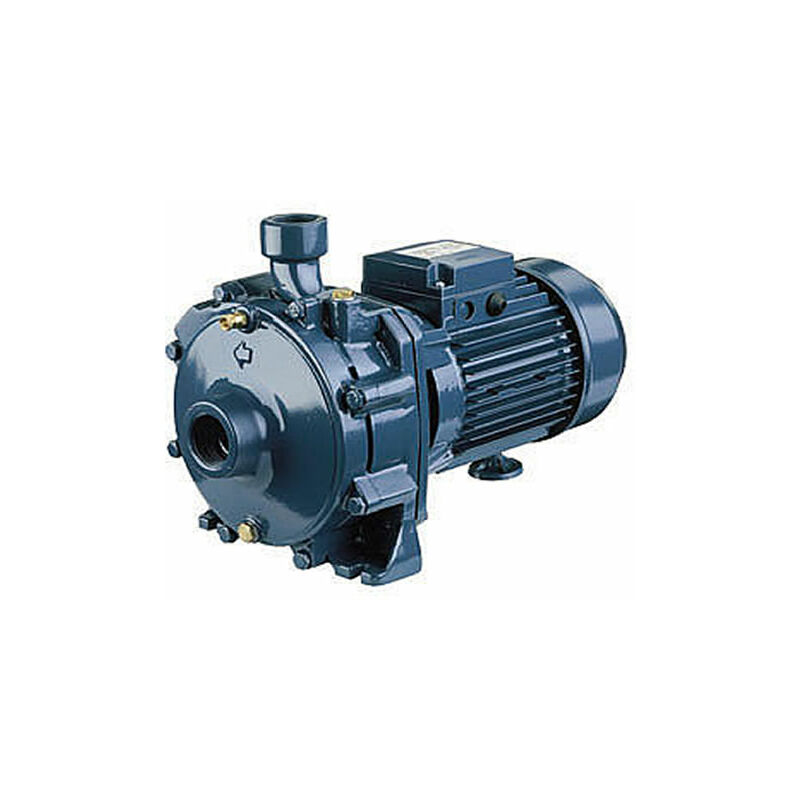 Ebara - Elettropompa Centrifuga Bigirante 1 Hp - Modello: Cda 1.00 M - Articolo: 1210100000 ...
