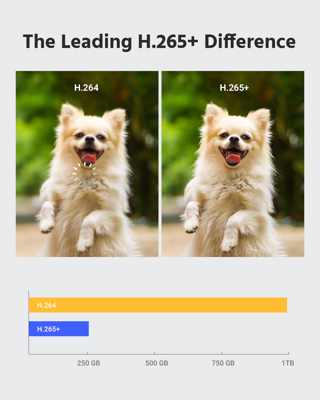 ANNKE 8CH CCTV Kits 5 in 1 DVR 82MP Smart IR 82MP Built-in Mic ...