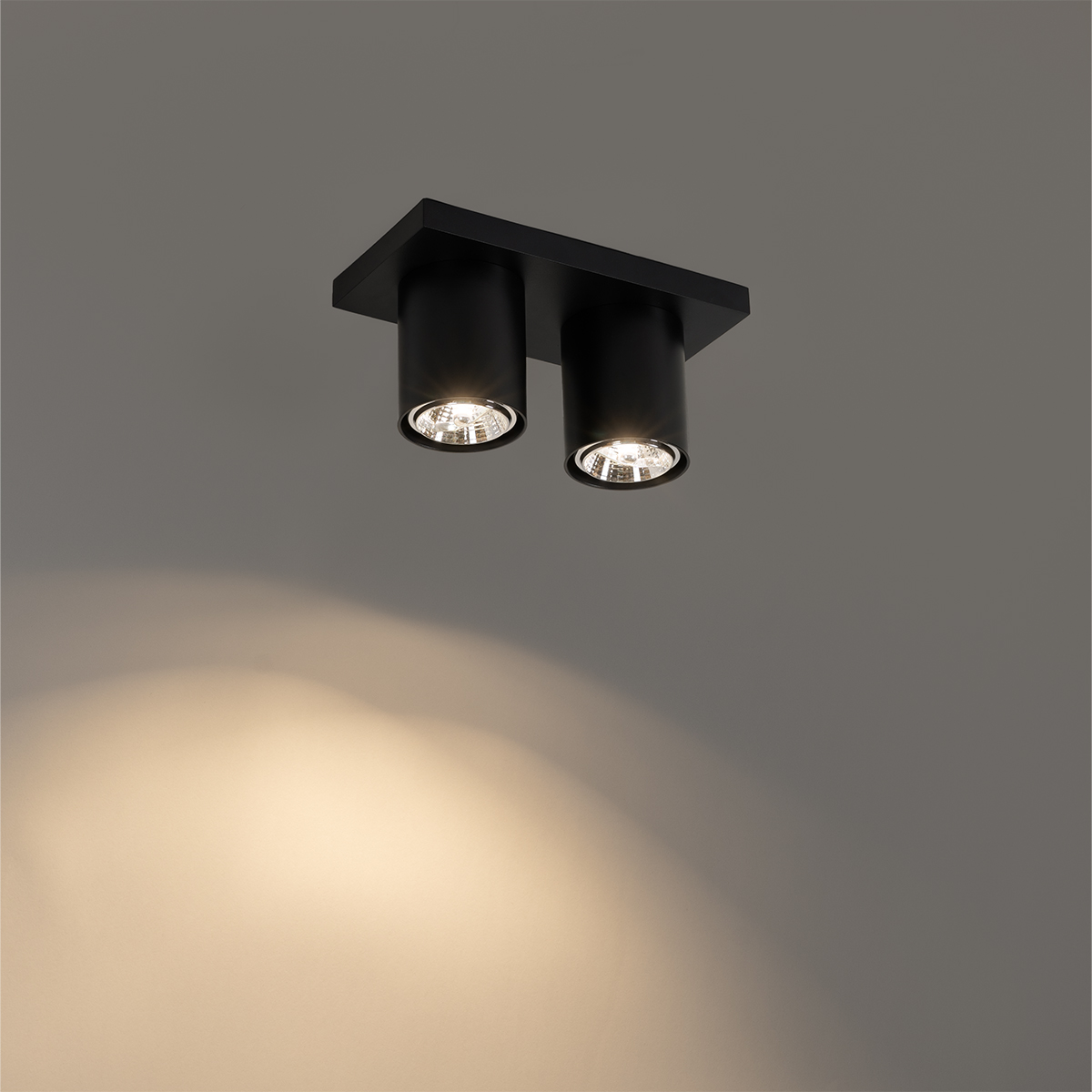 Modern Ceiling Spot Black 2-Lights - Tubo