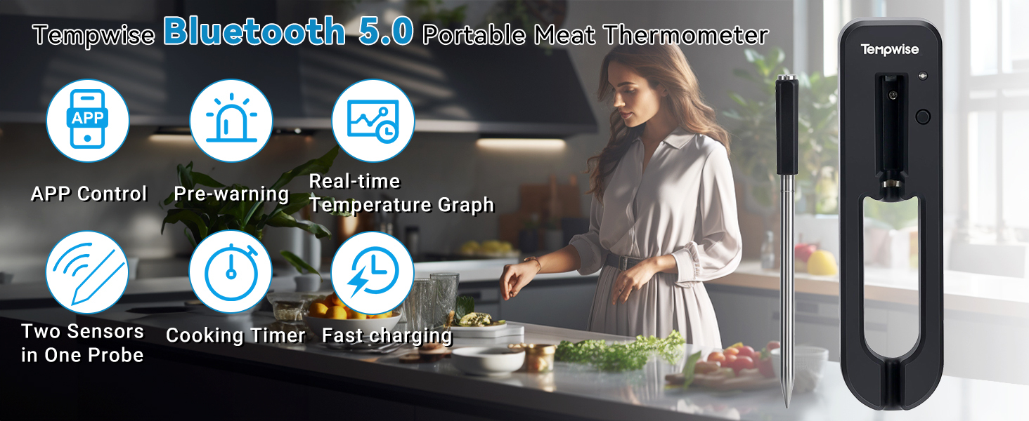 Thermomètre de cuisson à viande sans fil Bluetooth INKBIRD TNT-11-B ...