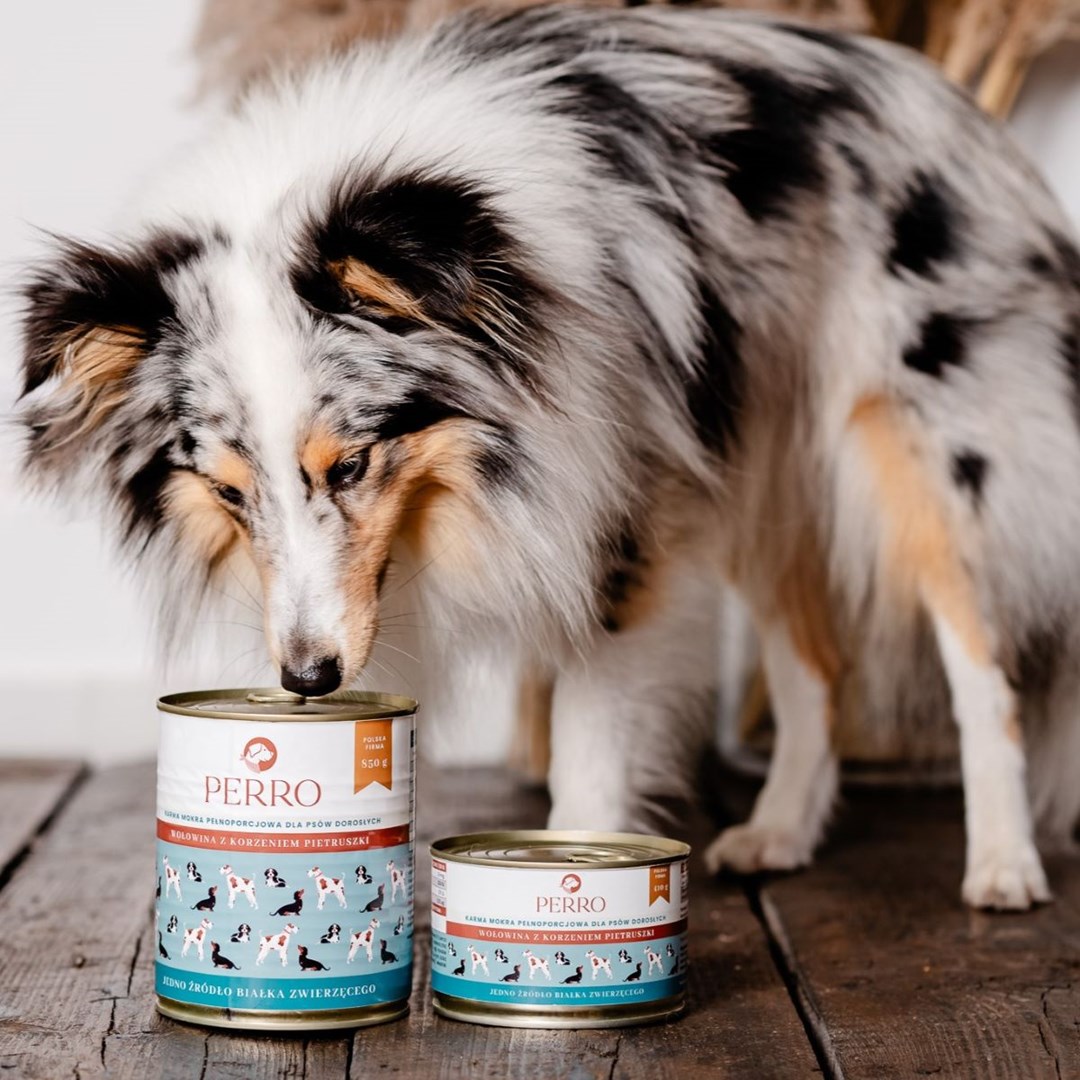 Nourriture humide pour chat PERRO au bœuf et à la racine de persil 850 g