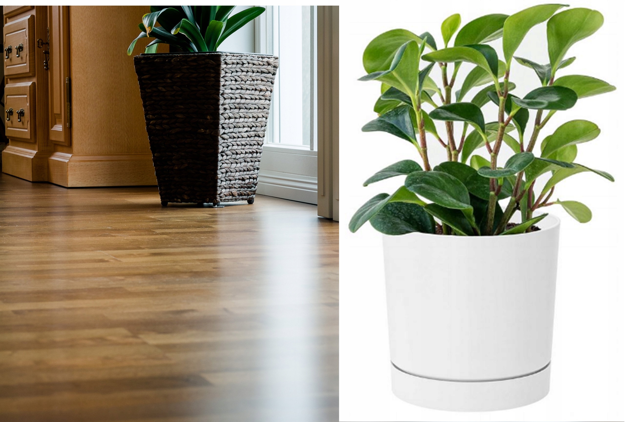 VASO DA FIORI BIANCO Vaso da 18 cm con sottovaso SISTEMA CLIC+DROP ...