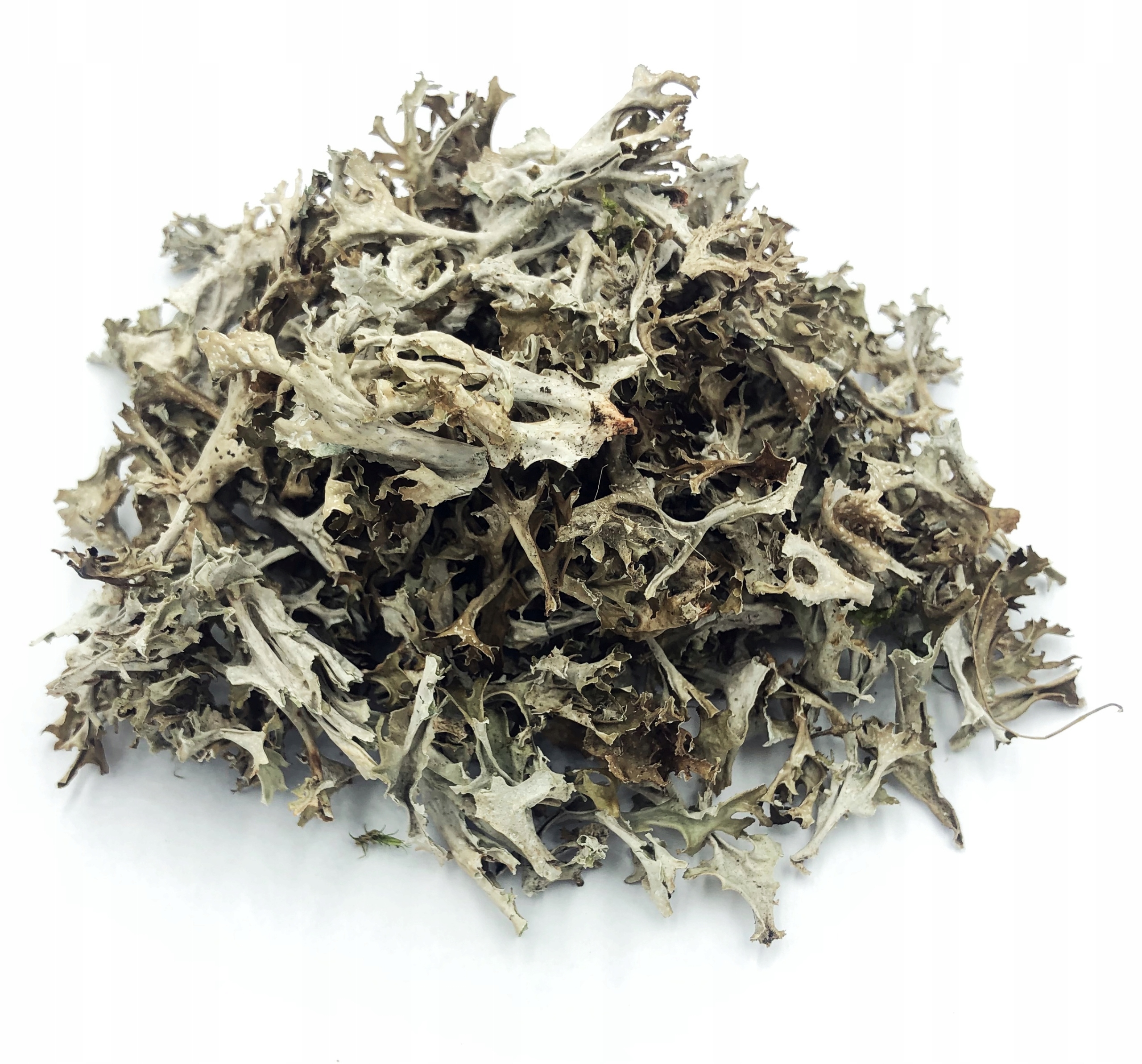 Liche d'Islande 200 g 100 % naturelle