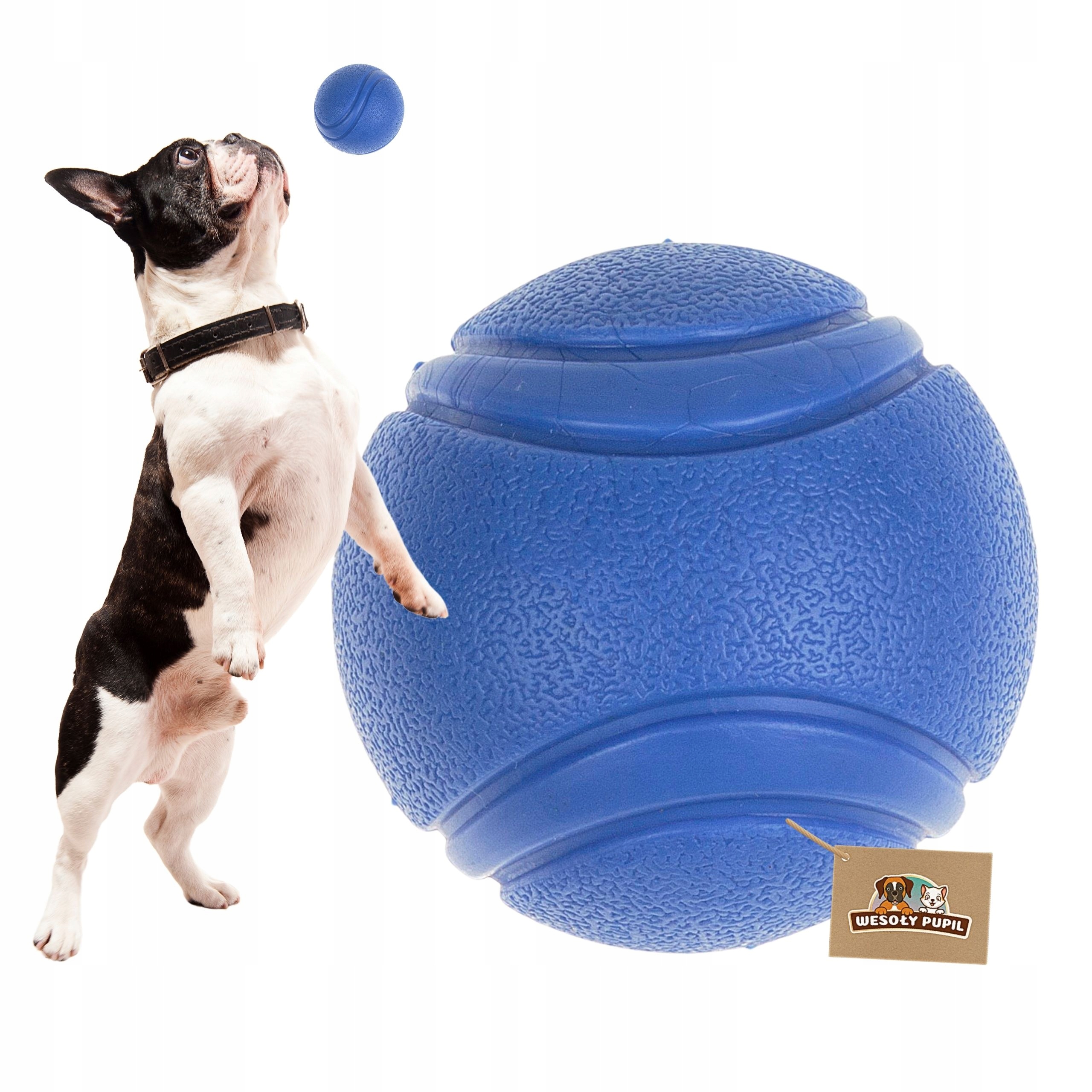 Pelota de juguete para perros LANA dura y resistente COMPLETO POR ...