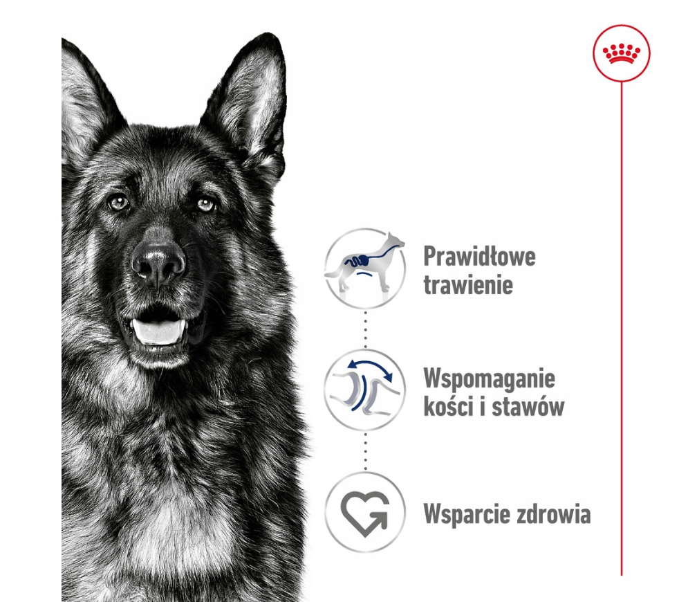 Croquettes pour chien Royal Canin SHN Maxi Adult 4 kg