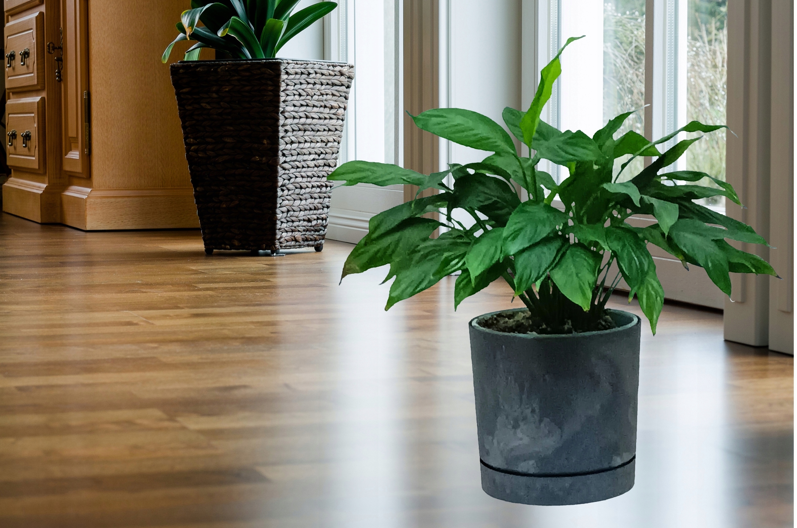 MACETERO EFECTO HORMIGÓN NEGRO 15cm con plato SISTEMA CLIC+DROP ...