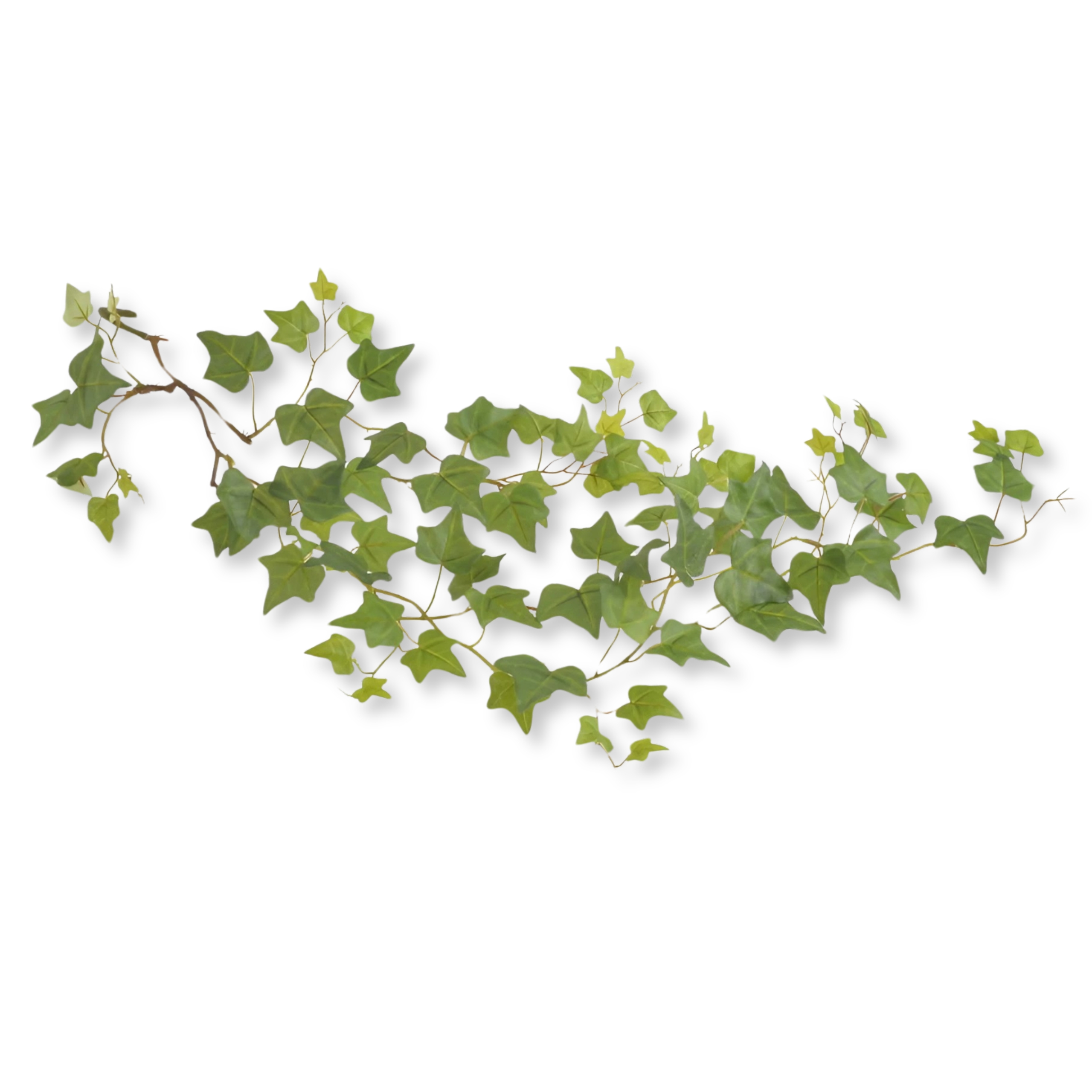 BioPlant Lierre Suspendu Grand Lierre Artificiel pour terrarium branche ...