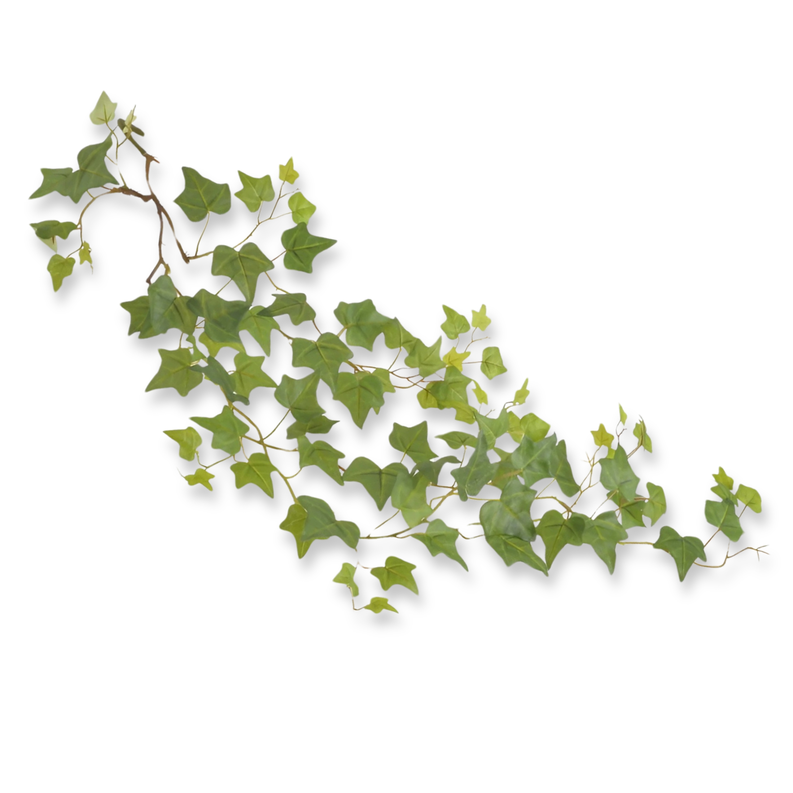 BioPlant Lierre Suspendu Grand Lierre Artificiel pour terrarium branche ...