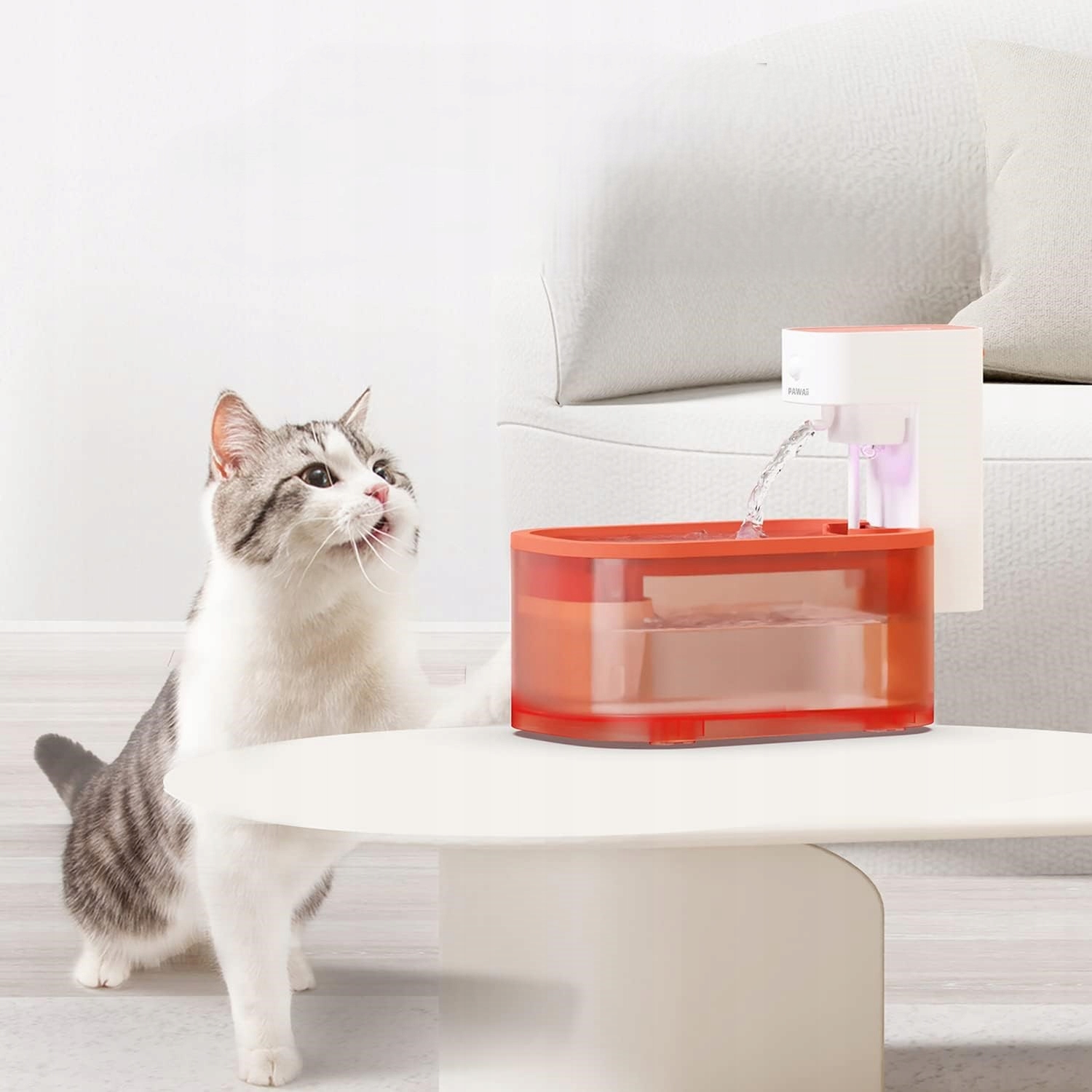 Wasserbrunnen mit Bewegungssensor für Katzen und Hunde. Kabelloser Brunnen 2L 5000mAh