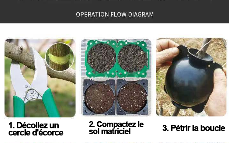 15 Pièces Boîte d'Enracinement de Plante Balle de Propagation, Boîte de ...
