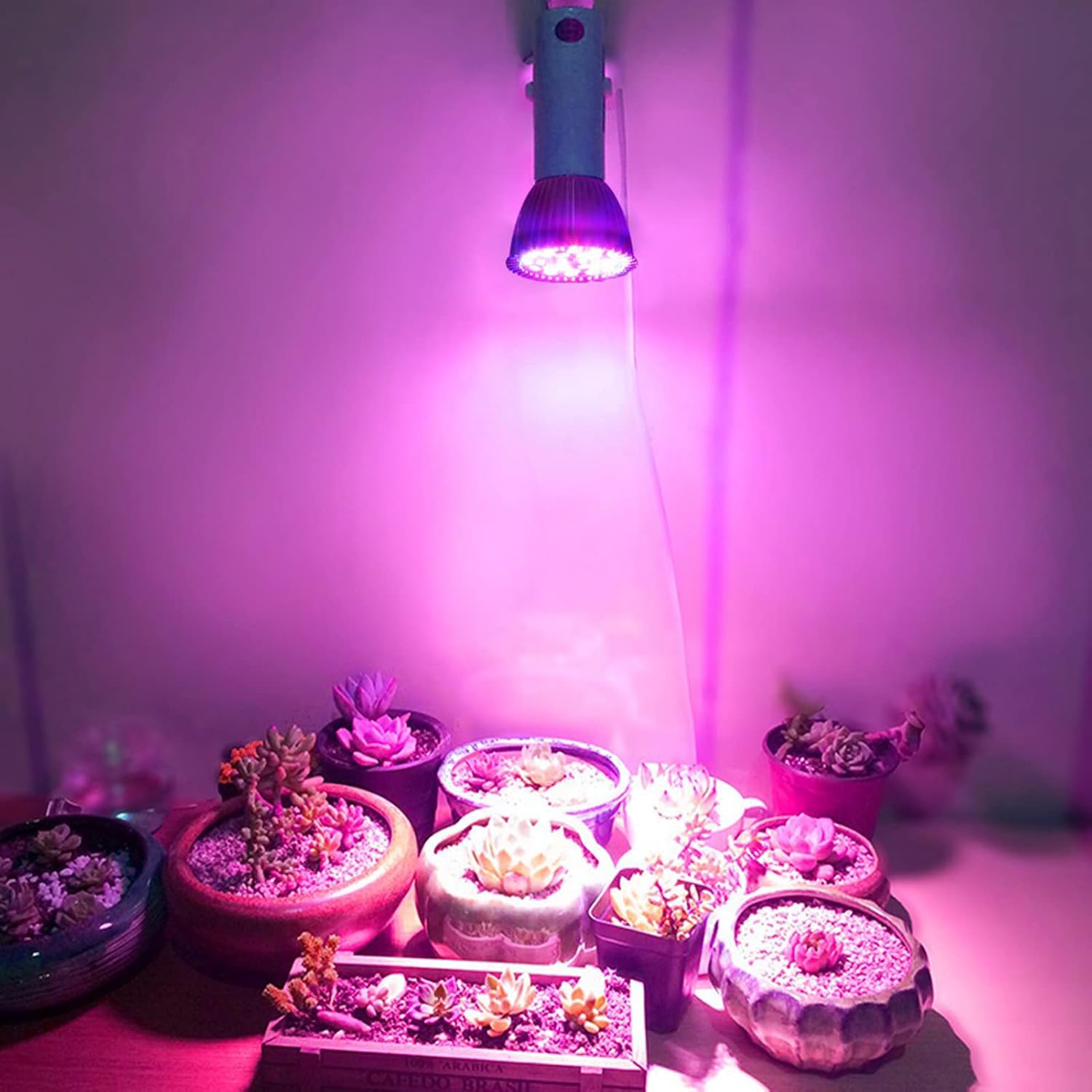 5W E27 LED Grow Glühbirne Vollspektrumlampe für Zimmerpflanzen Gemüse ...