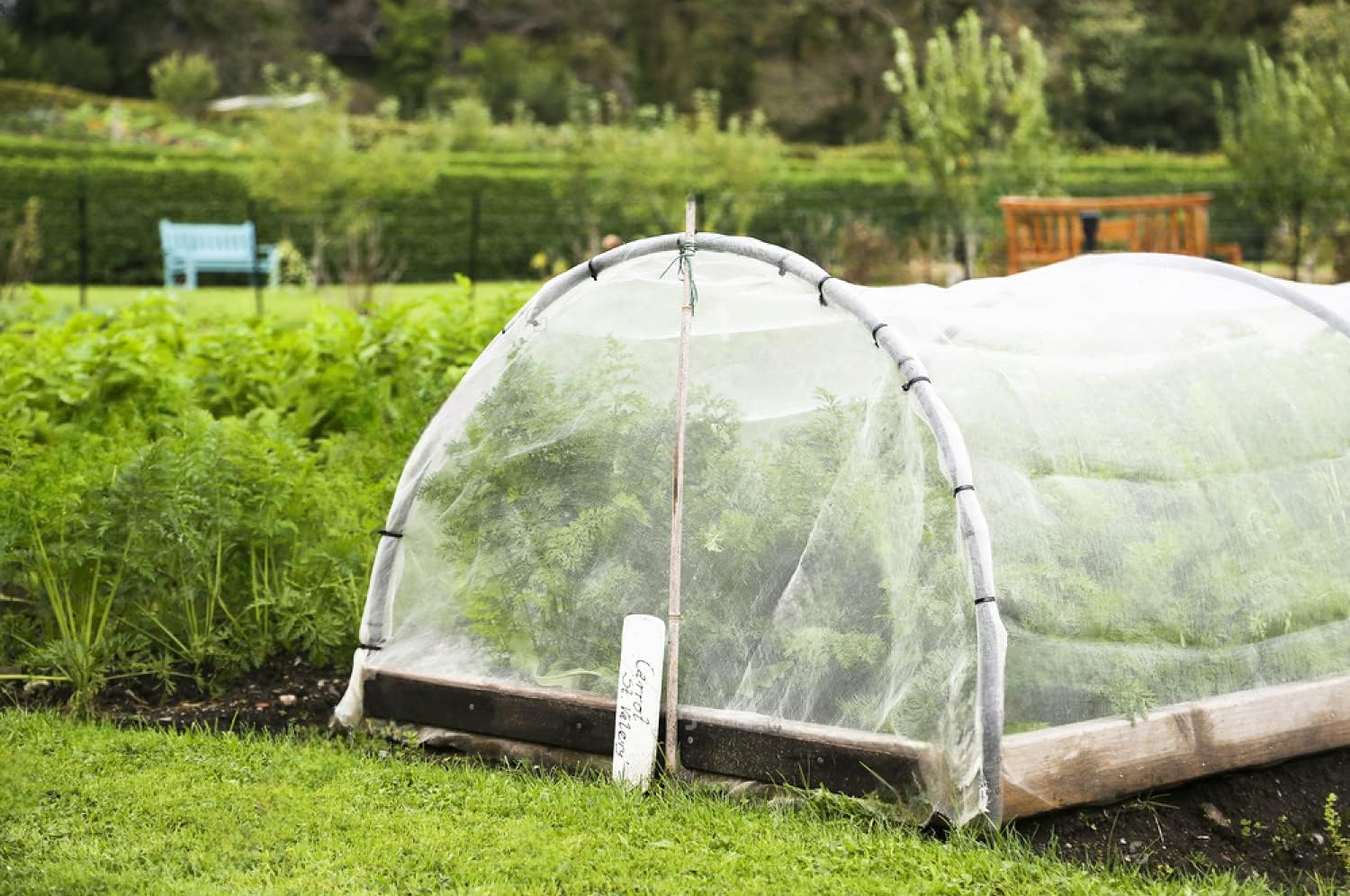 Reti per uccelli e insetti, reti di protezione da giardino, reti per ...