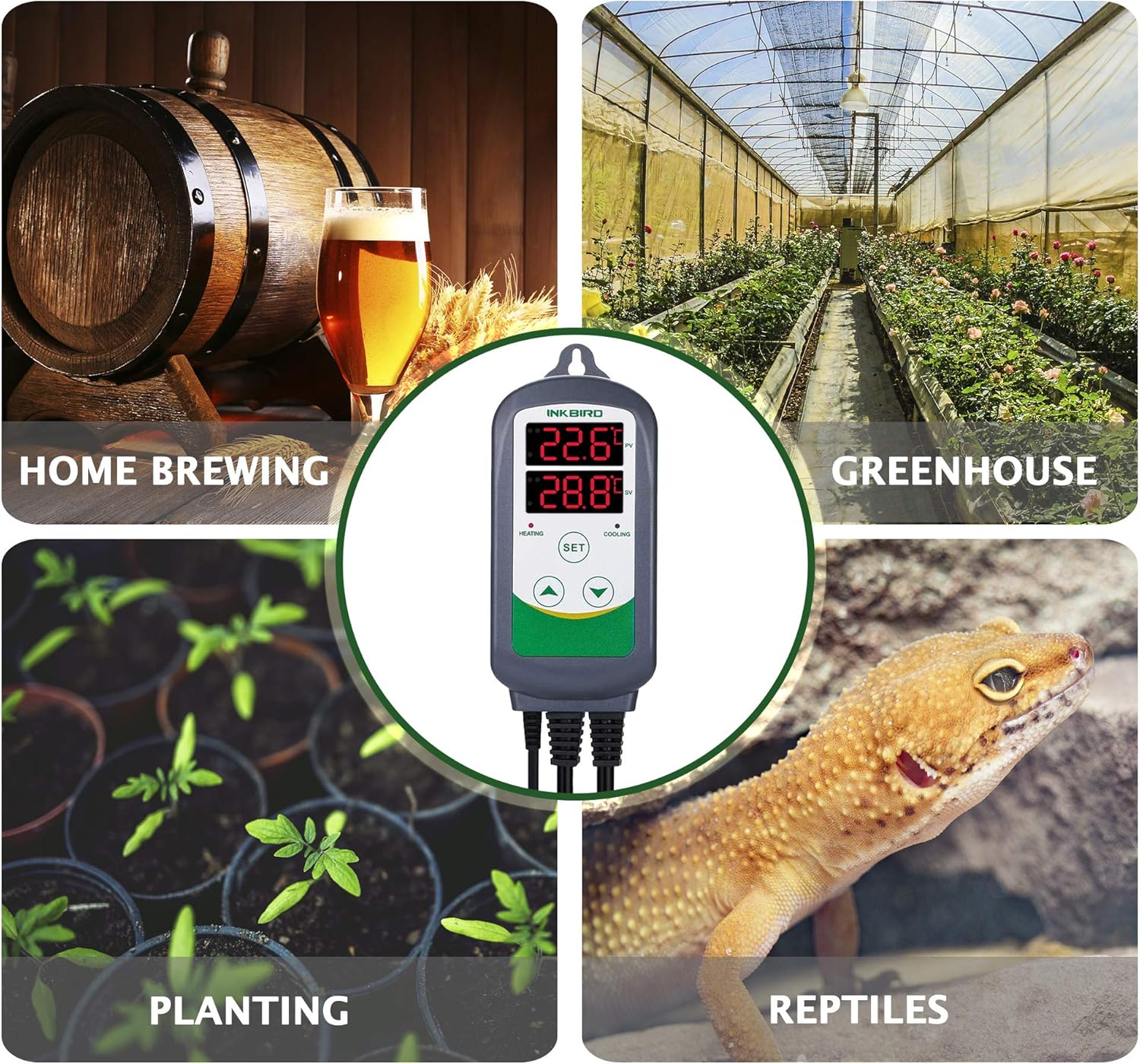 Digital Thermostat Plug with 2 Relays, 220V Probe, Temperature ...