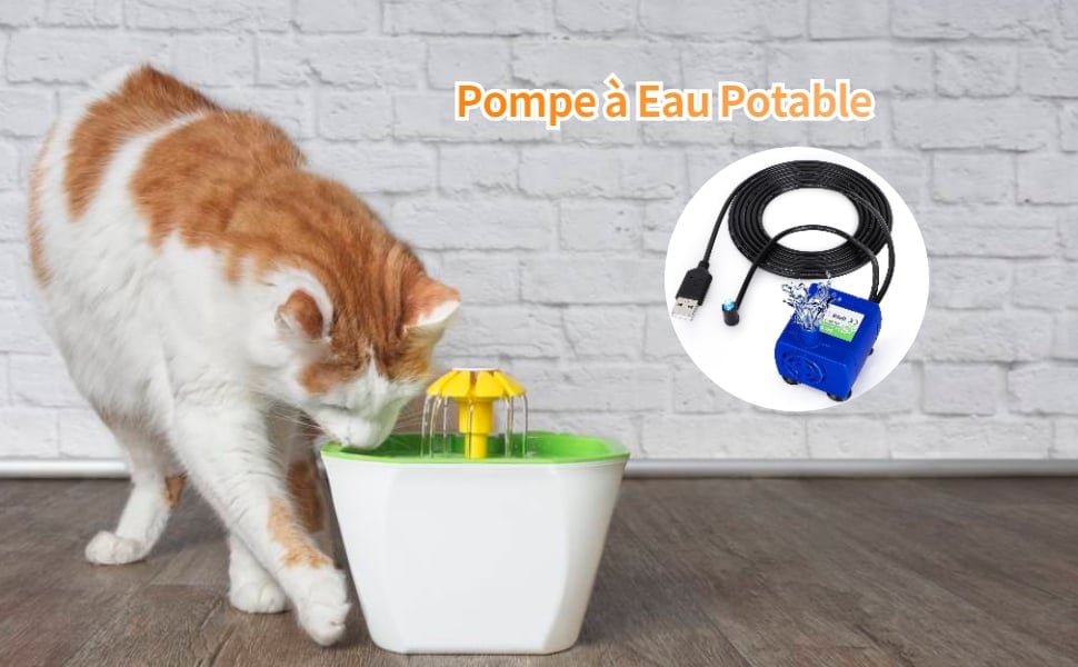 Pompe à Eau pour Chat, Fontaine à Boire, Distributeur Automatique Pompe ...