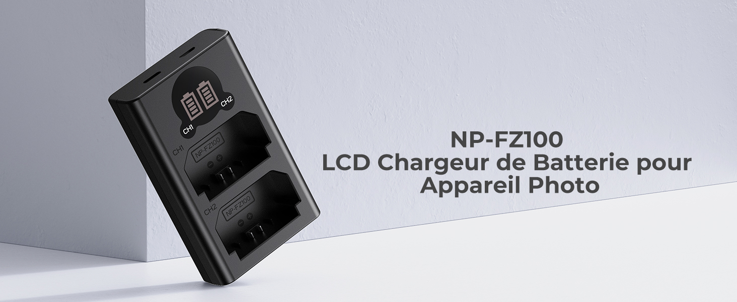 NP-FZ100 Batterie Chargeur avec Double Emplacement et écran LCD ...