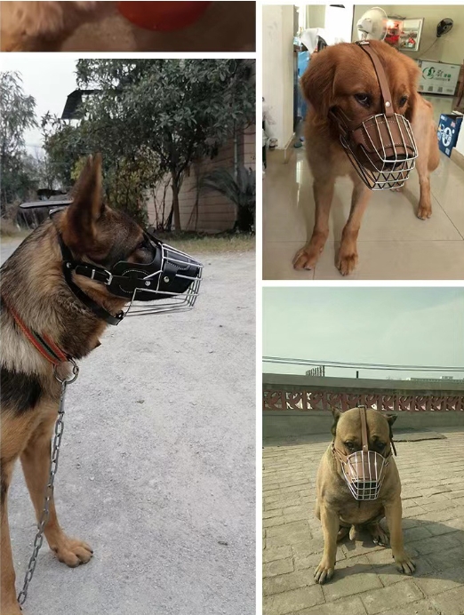 Leather Dog Muzzle for Pitbulls, Amstaffs, and Staffordshire Terriers ...