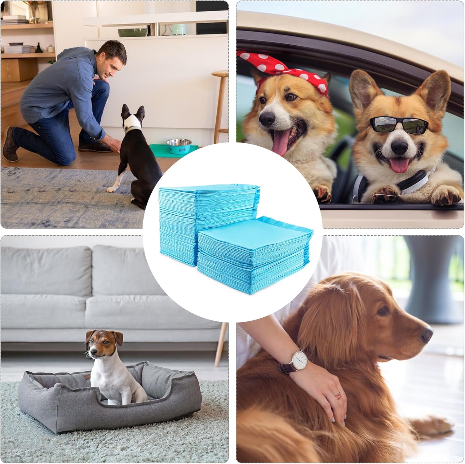 YMYNY 100 Pièces Tapis Absorbant Chien, 33 × 45 cm Alaise Jetable Alèse ...
