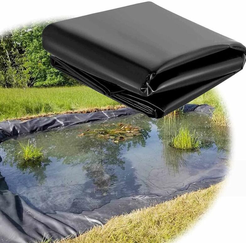 Revêtement d'étang à poissons - Piscine, revêtement de bassin ...
