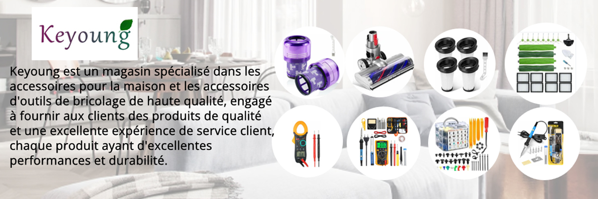 Dyson Suceur Authentique et D’Origine Compatible Convient pour les ...