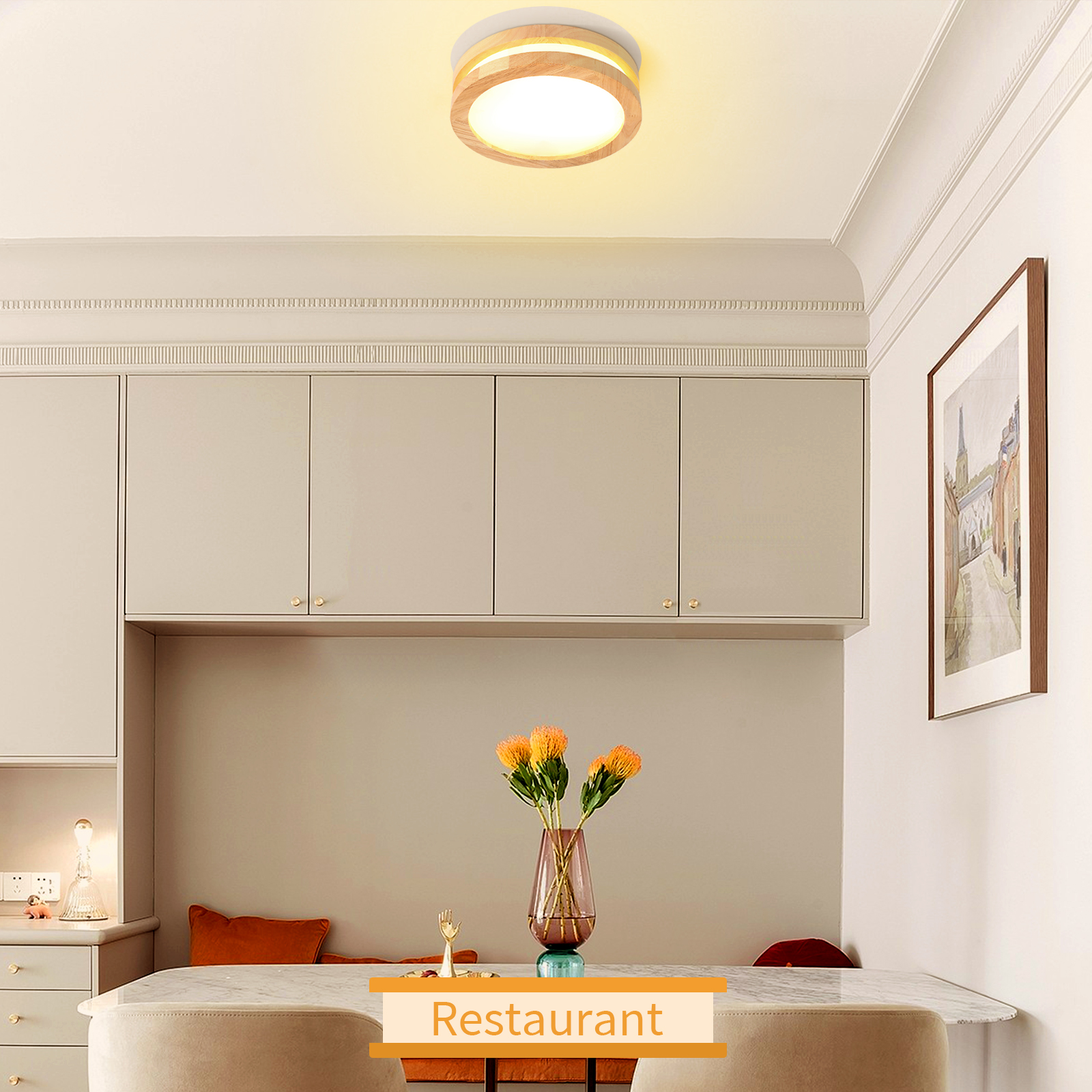 30CM Modern LED Ceiling Lights Indoor Ceiling Lights Wood Ceiling Light ...