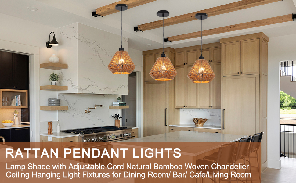 Ganeed Woven Pendant Lights Modern Boho Hanging Lamp with 9.8 ...