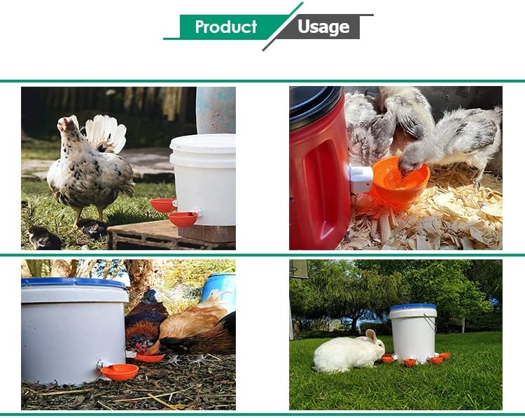 Professional Chicken Waterer Cups, Chicken Water Feeder , Automatic ...