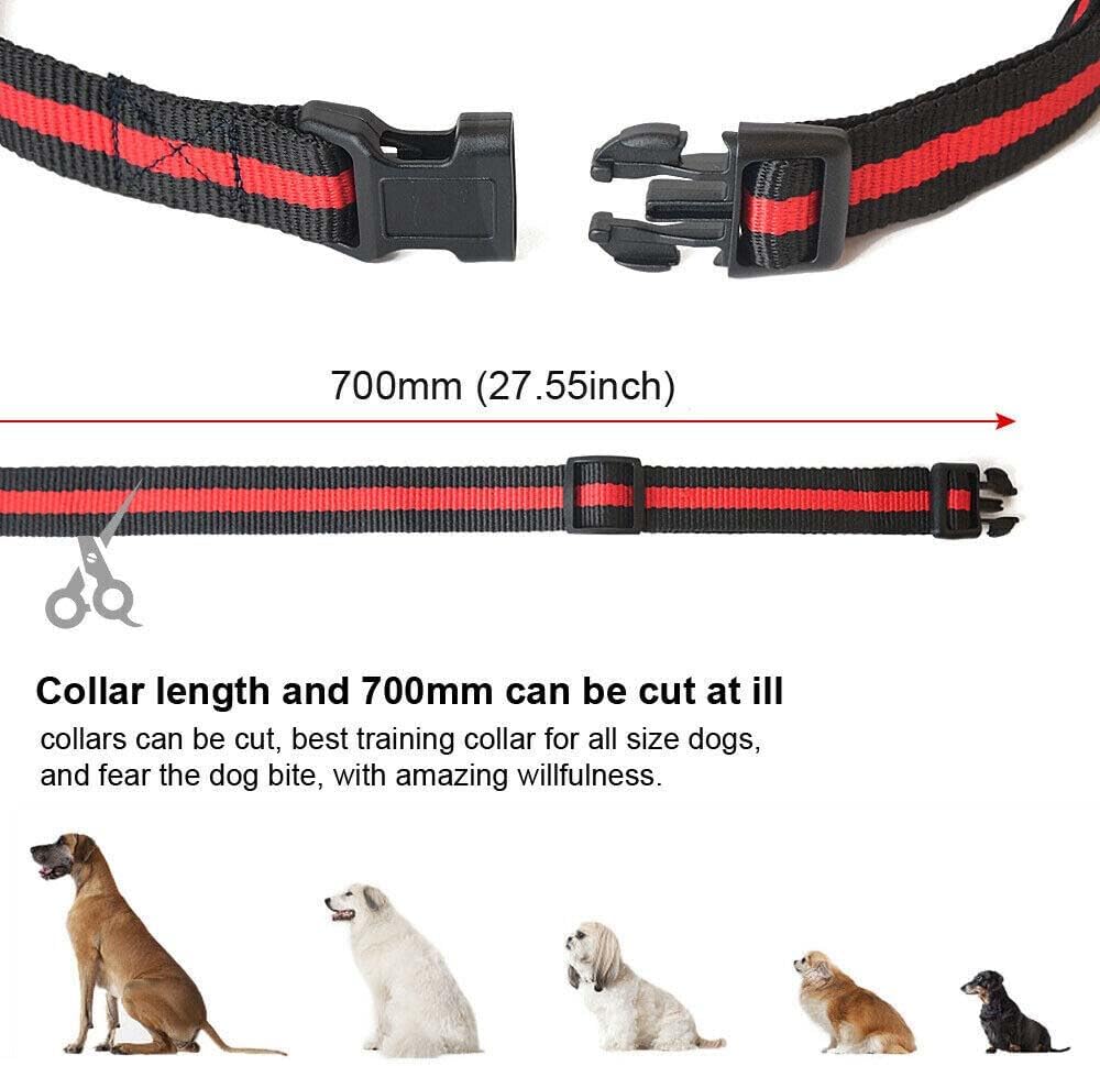 Remote Control Dog Training Collar, IP67 Waterproof, Rechargeable, Anti ...