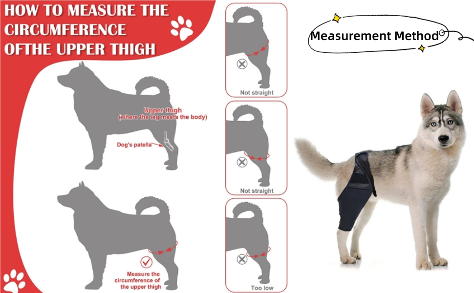 Dog Elbow Brace & Support - Compression Wrap for Canine Elbow ...