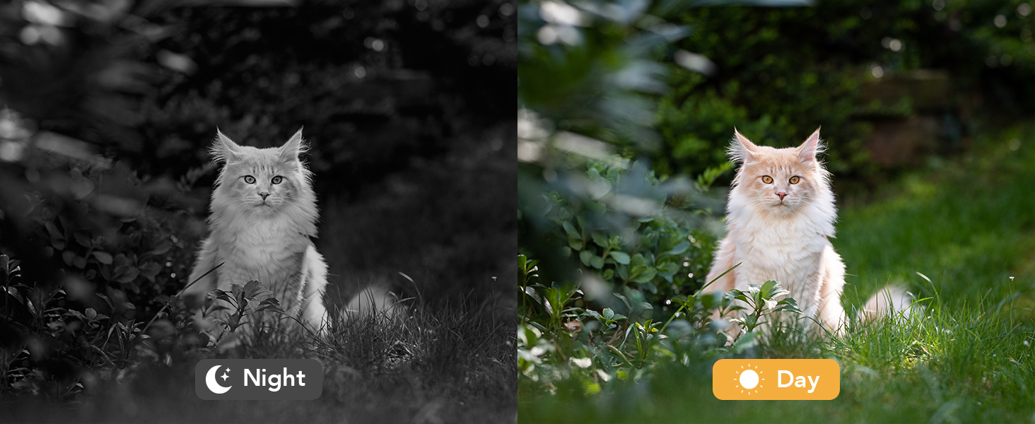 ANNKE Wireless Surveillance Kit with 7" LCD Screen, 2 x 5MP Outdoor ...