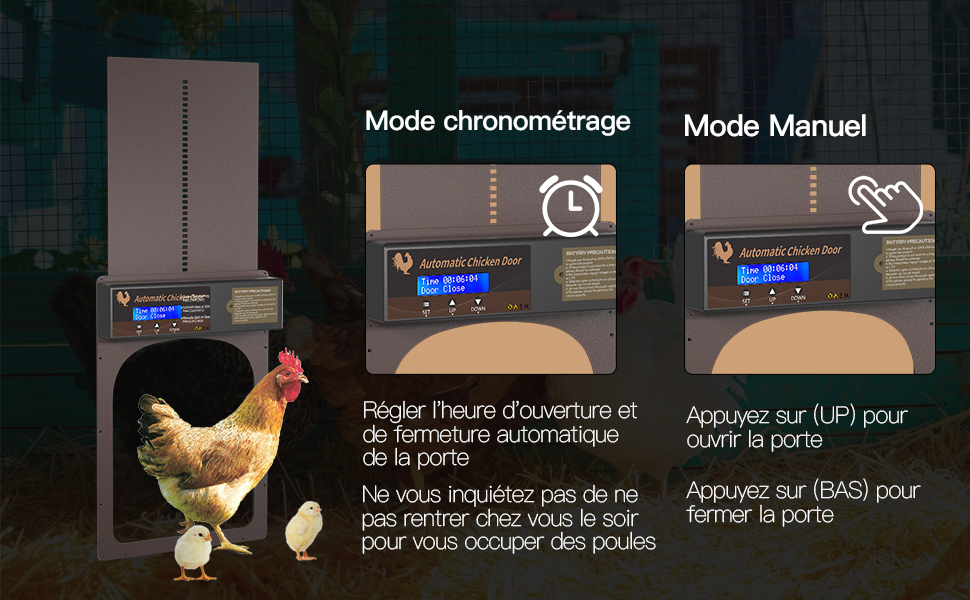 Porte de poulailler automatique minuterie à énergie solaire IP45 étanche en aluminium volaille ...
