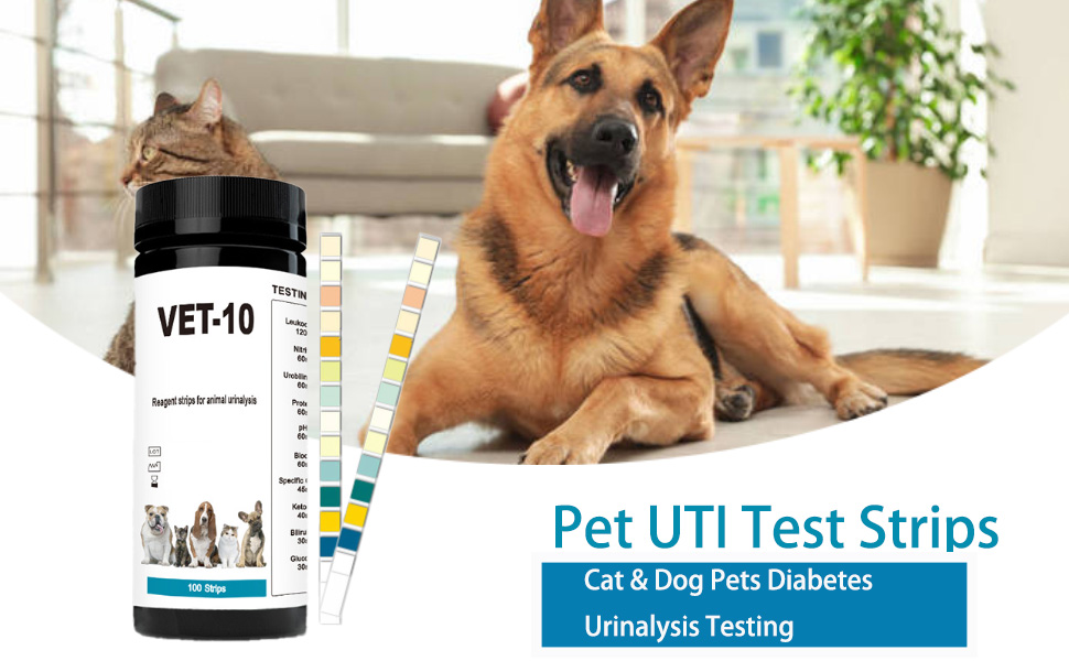 100 Urine Test Strips 10 in 1 Urinary Tract Infection Test Kit Cat and ...