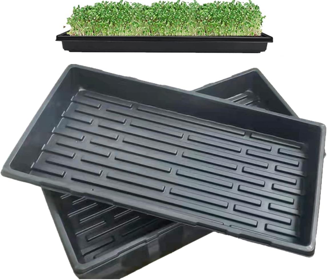 Pack of 5 growing trays without drainage holes 55 x 29 cm. Ideal for ...