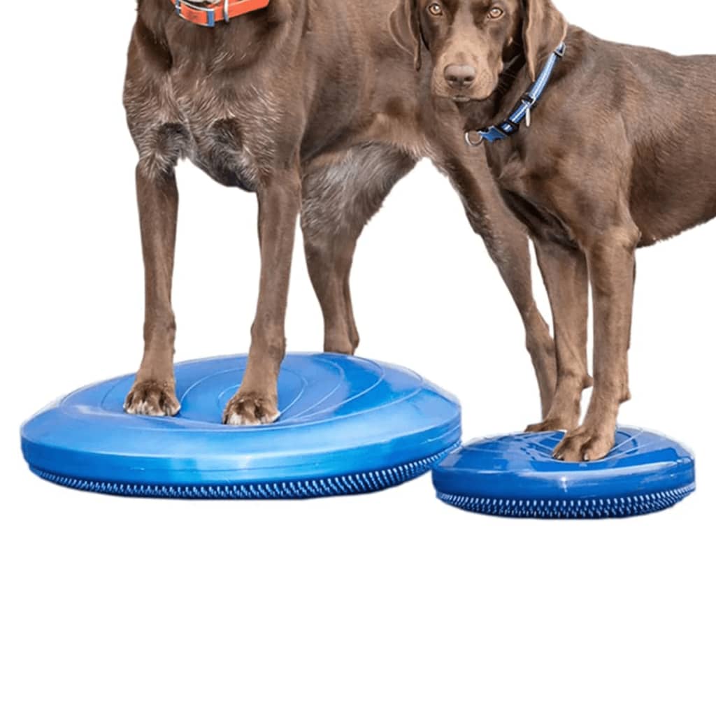 Pet Balance Disc 56 cm Blue FitPAWS