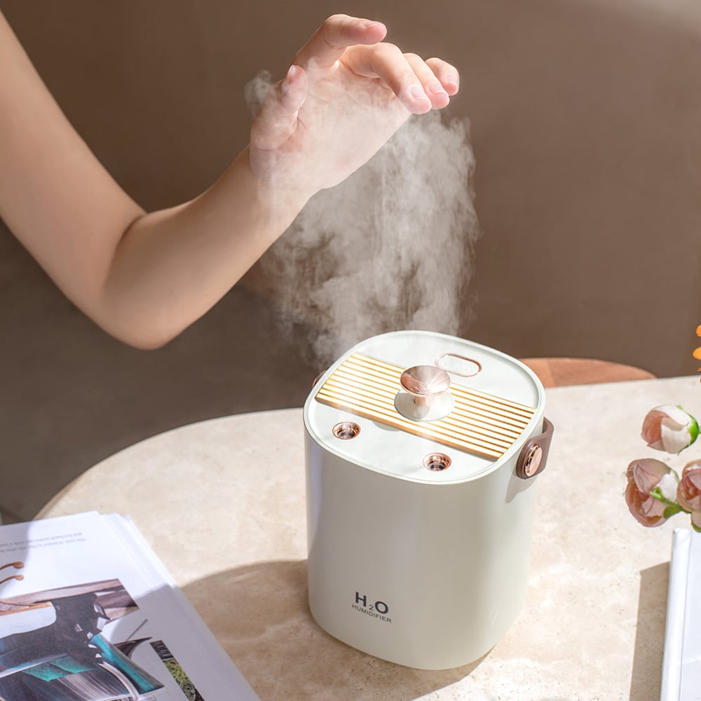 Home humidifier store